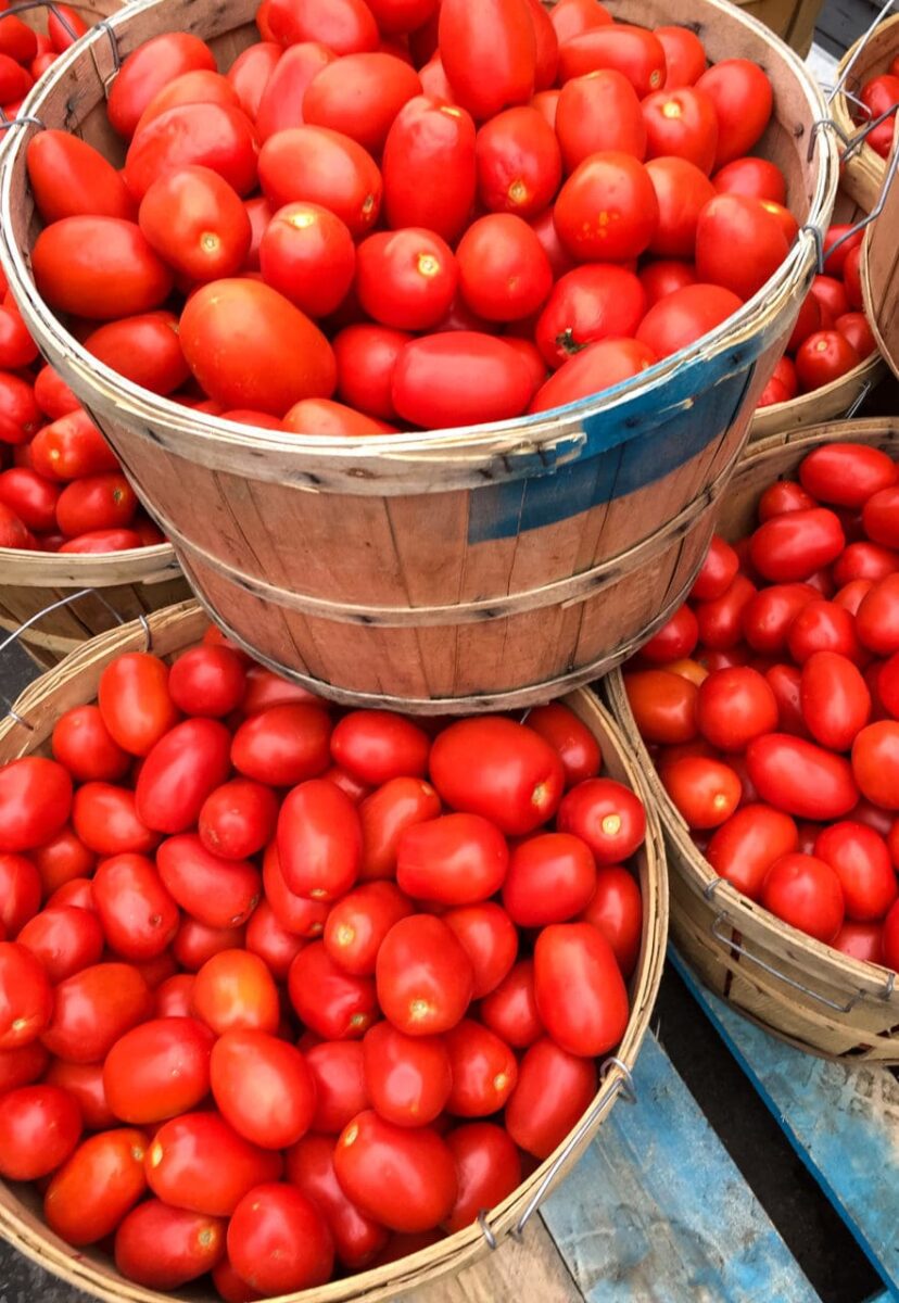 Conserves de tomates maison • La petite bette