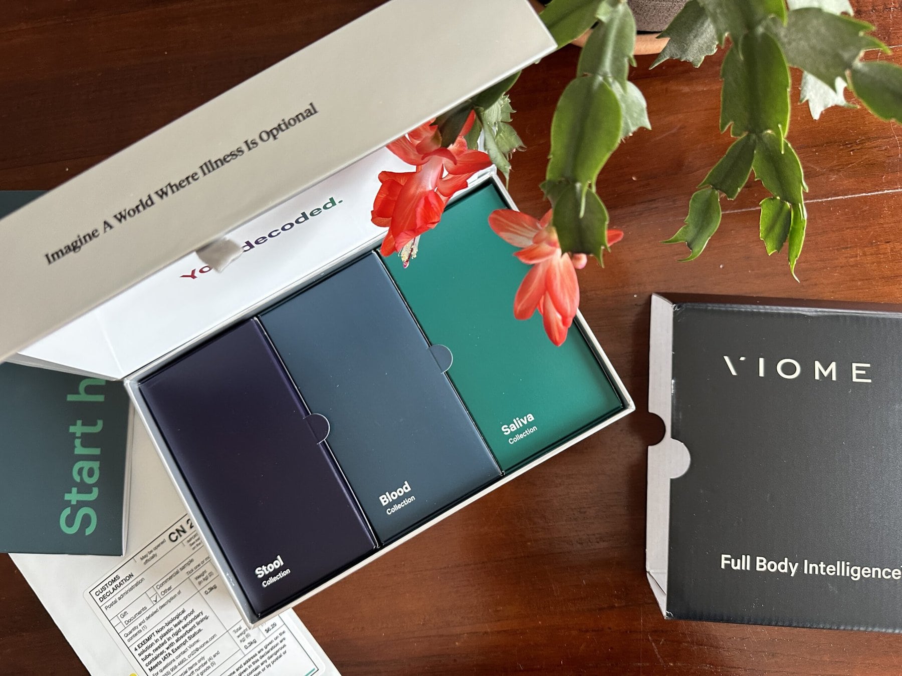 J'ai quel âge biologique? J'ai fait un test VIOME • La petite bette