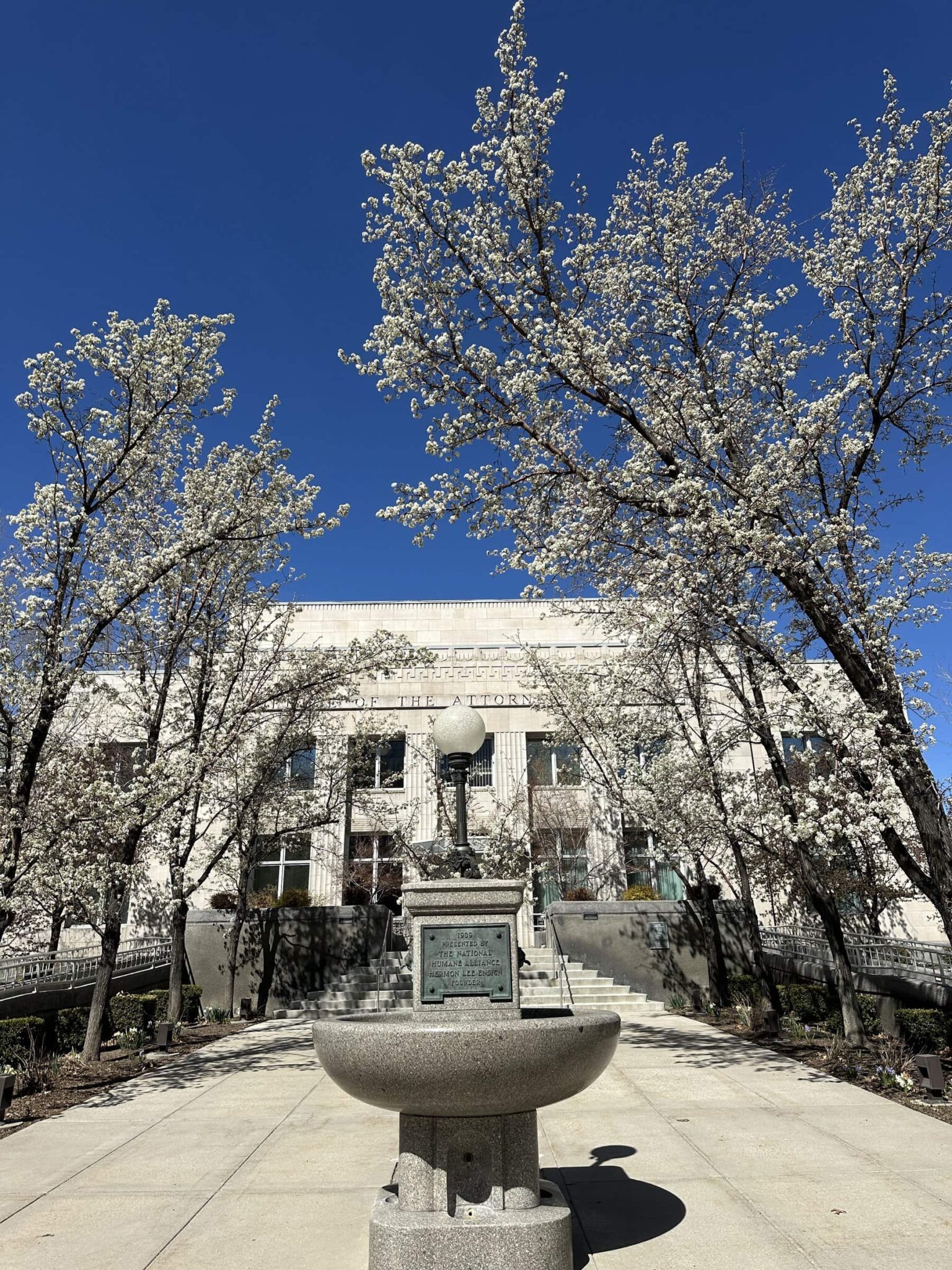 Voyage au Nevada, paradis du road trip • La petite bette