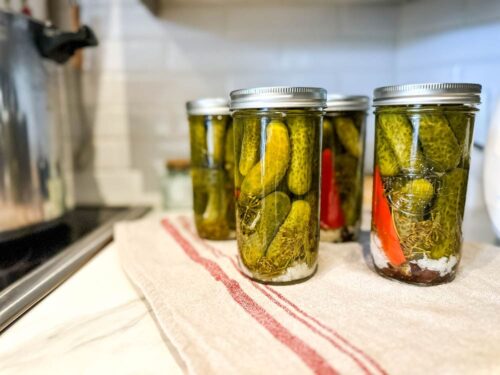 Conseils pour faire des conserves à la maison • La petite bette
